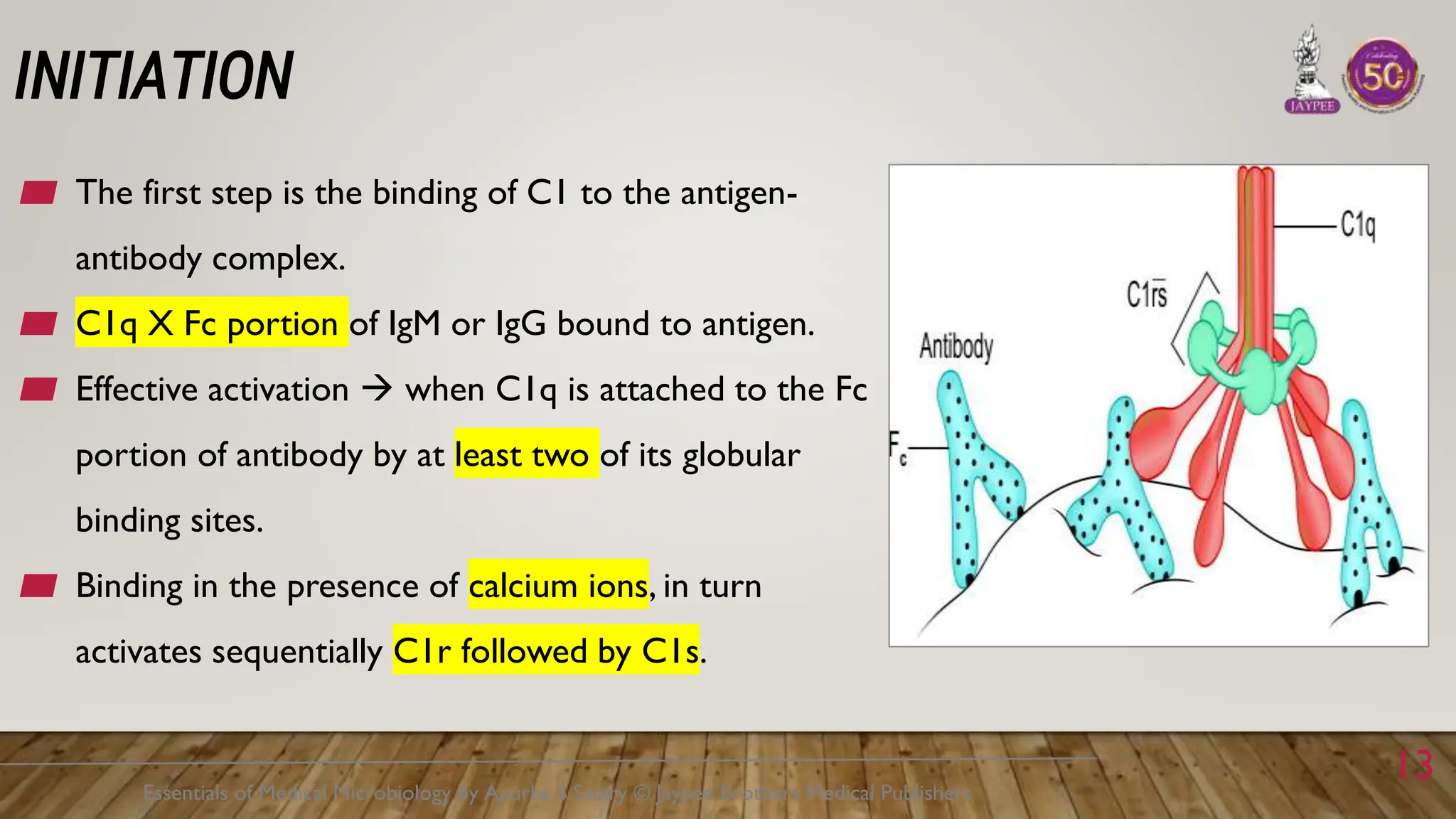 Complement system and its synthesis + activation | PPTX