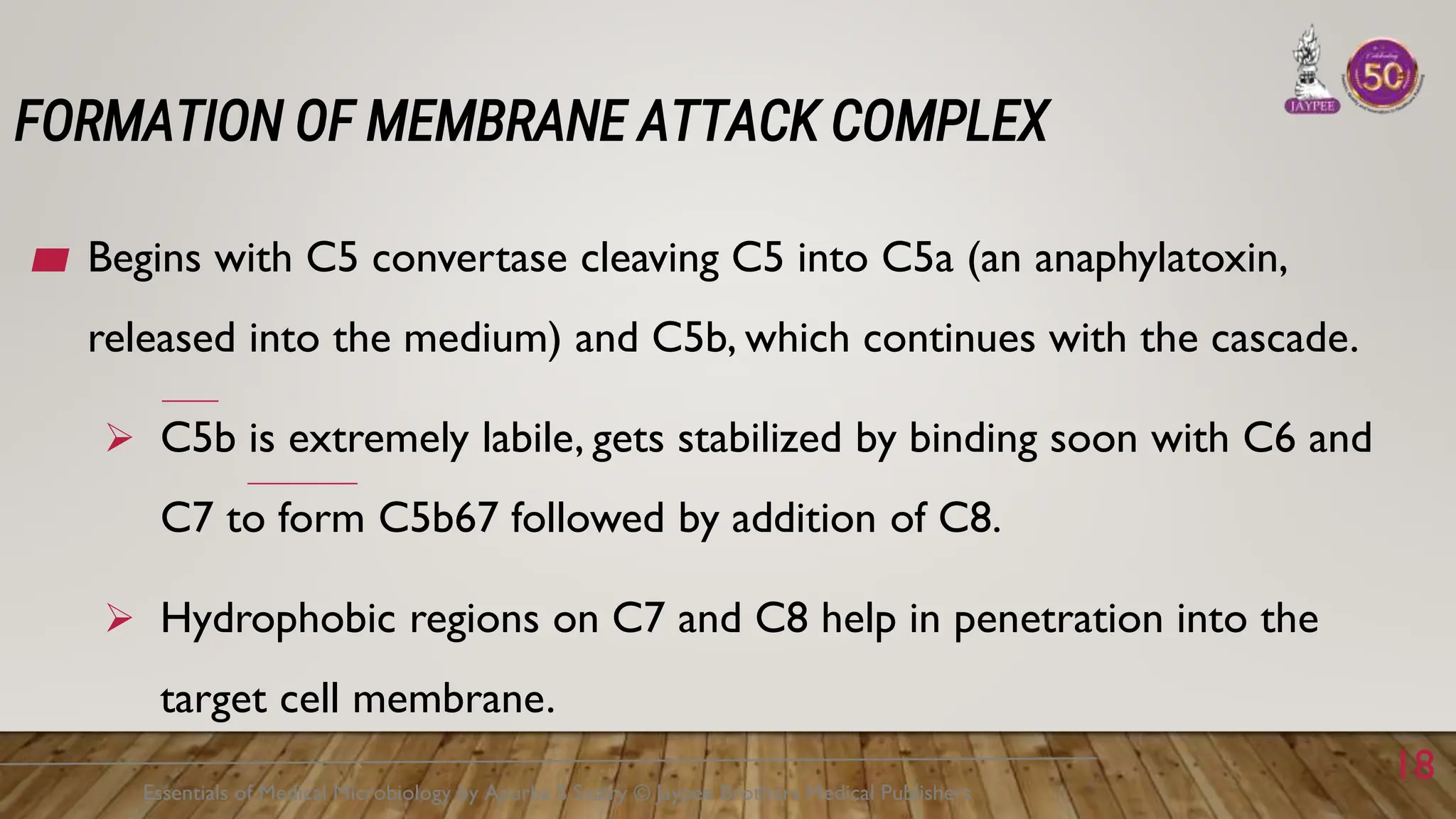 Complement system and its synthesis + activation | PPTX