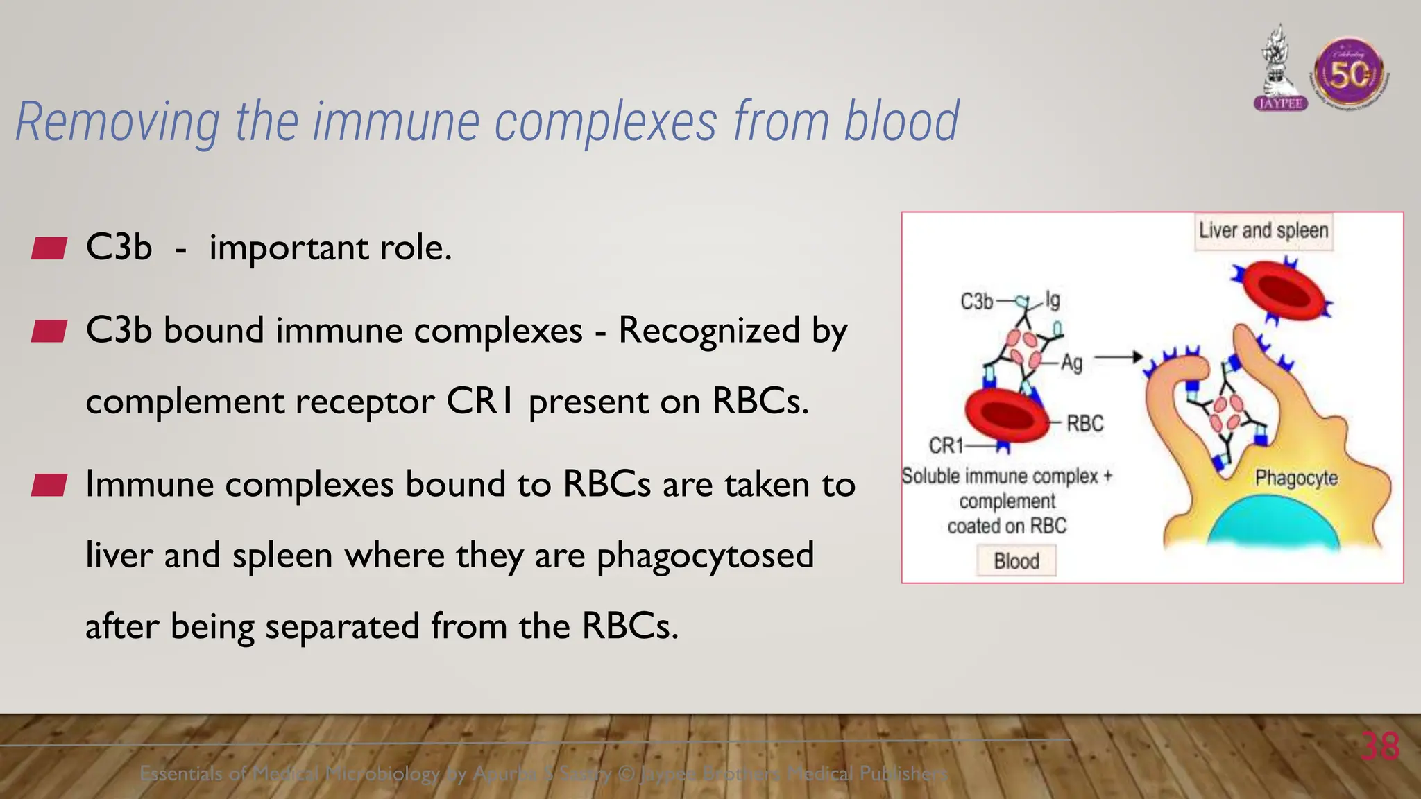 Complement system and its synthesis + activation | PPTX