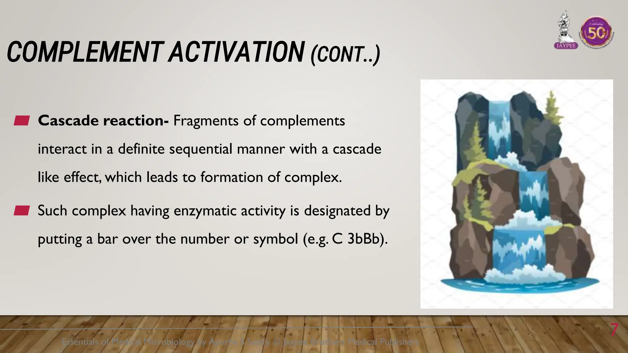 Complement system and its synthesis + activation | PPTX