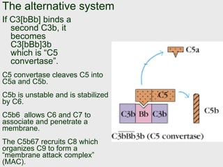 MOCRIBIOLOGYMOCRIBIOLOGYMOCRIBIOLOGYcOMPLEMENT.ppt