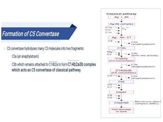 complement system microbiology immune system | PPT