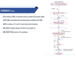 complement system microbiology immune system | PPT