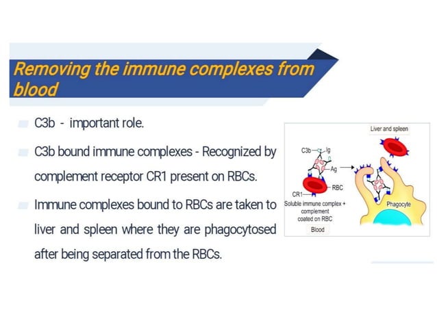 complement system microbiology immune system | PPTX