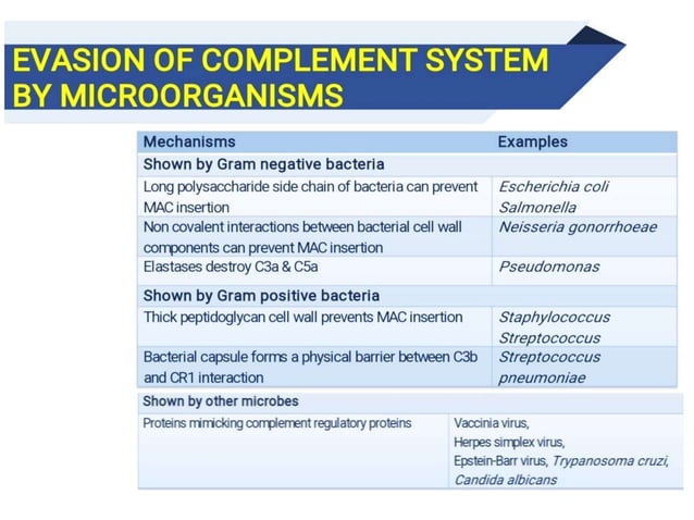 complement system microbiology immune system | PPT