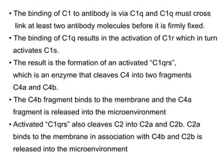 Complement System and its activation pathways | PDF
