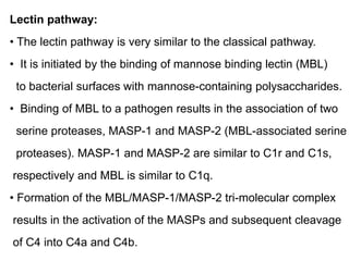 Complement System and its activation pathways | PDF