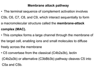 Complement System and its activation pathways | PDF