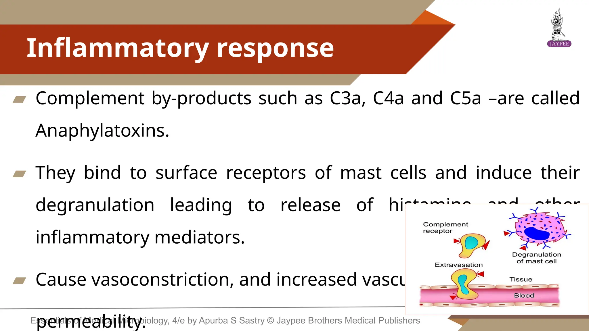 Complement presentation immunity mi.pptx
