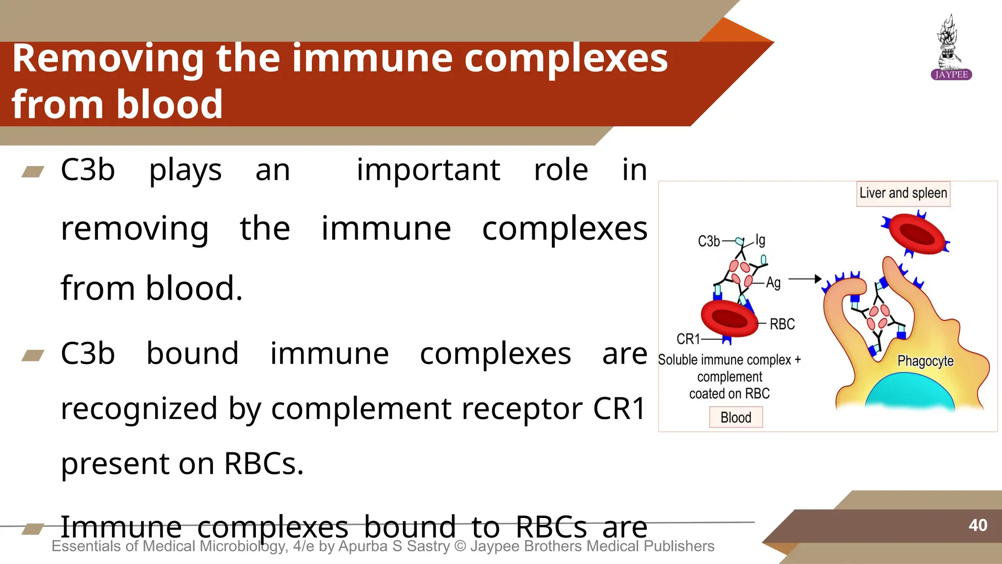 Complement presentation immunity mi.pptx
