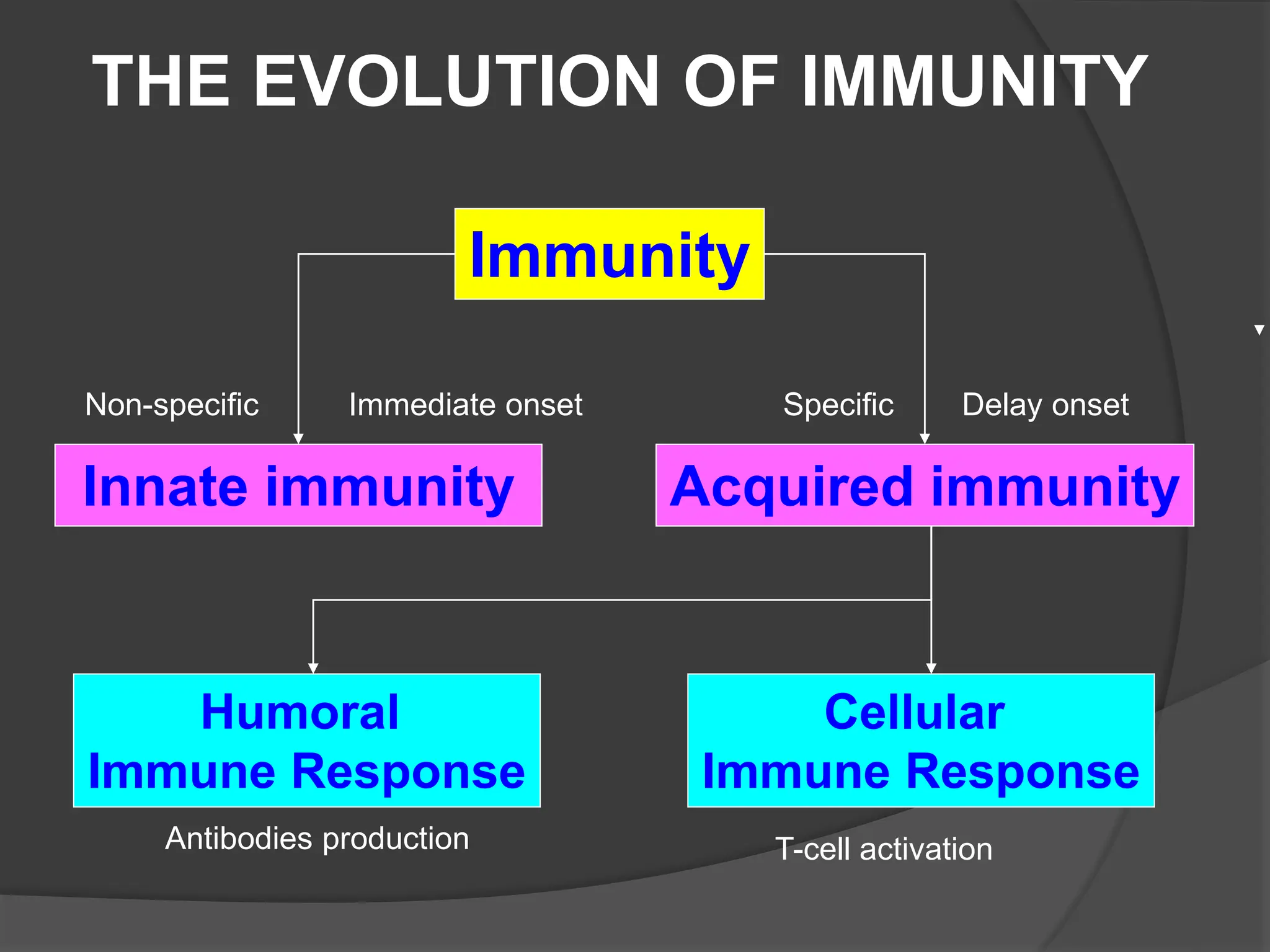 Complement system in association with the immune response.pptx ...