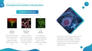 Complement therapeutics-services-brochure | PPT