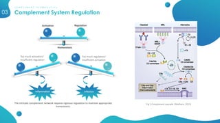 Complement therapeutics-services-brochure | PPT