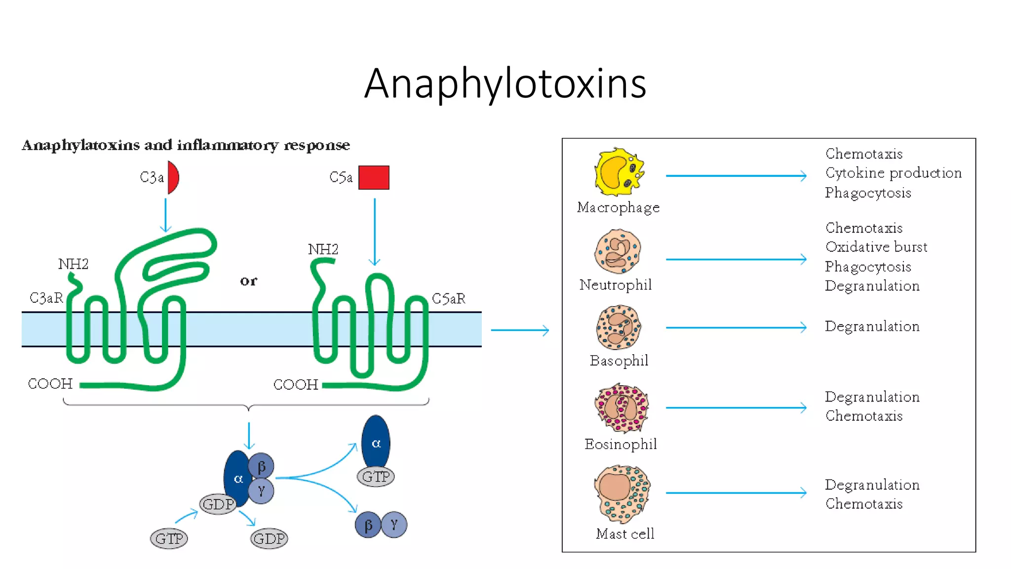Complement system in health & disease (Immunology) | PPTX Complement system in health & disease (Immunology) | PPTX
