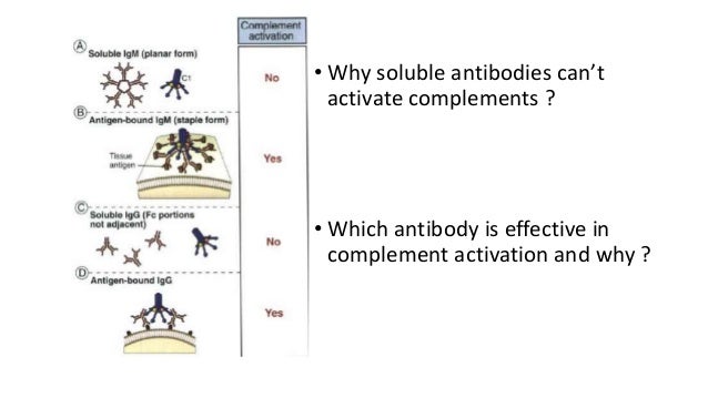 Complement system in health & disease (Immunology) Complement system in health & disease (Immunology)