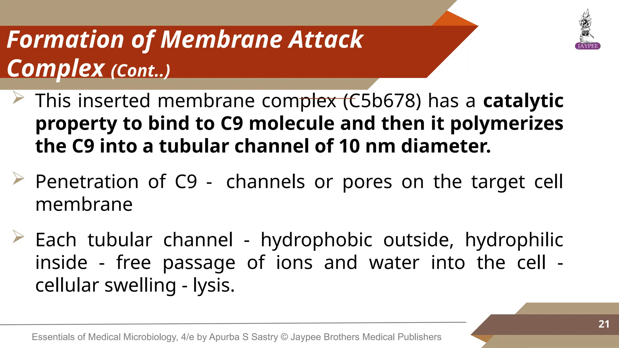 Complement pathways microbiology .pptx