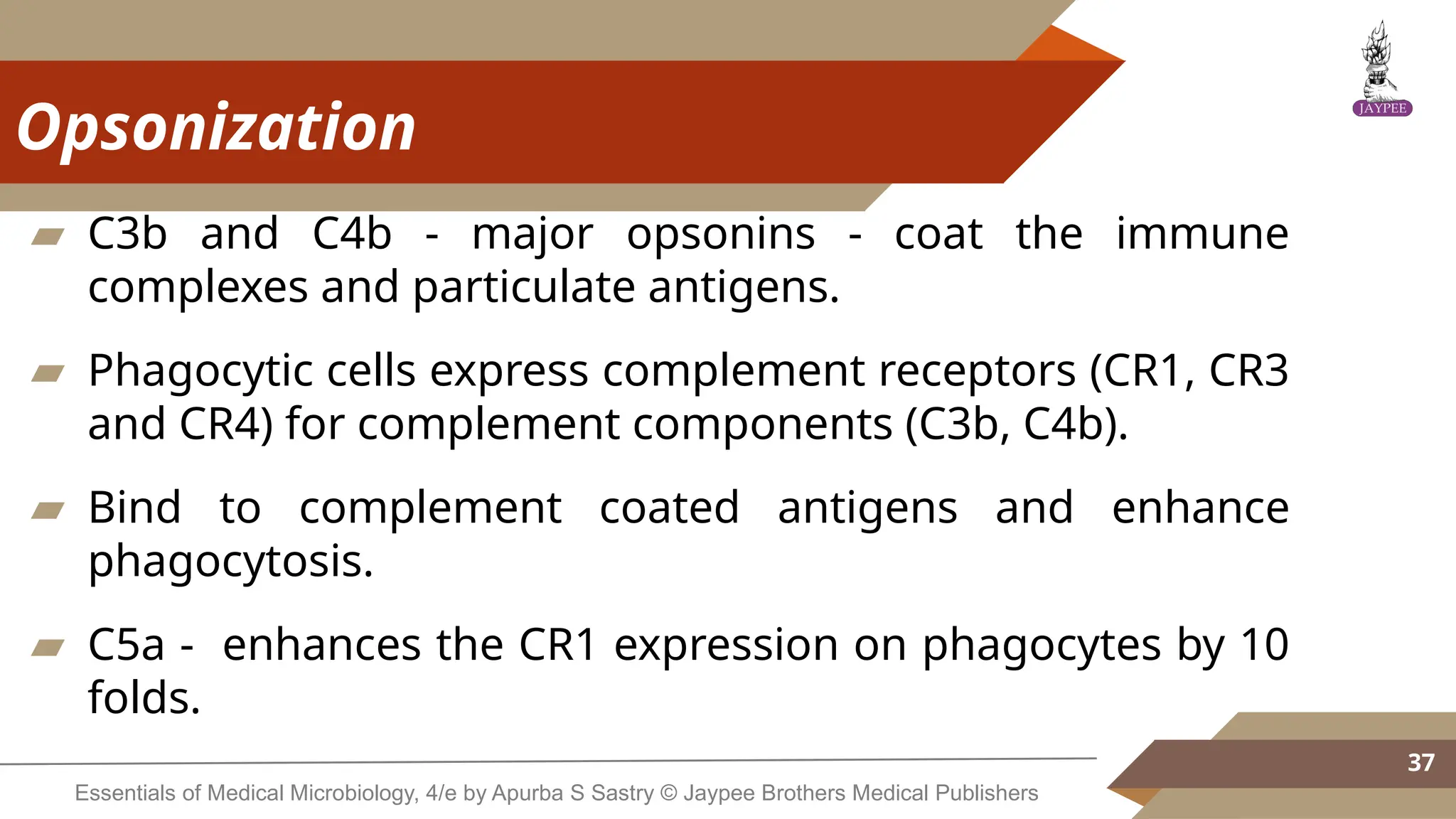 Complement Pathways Microbiology Pptx