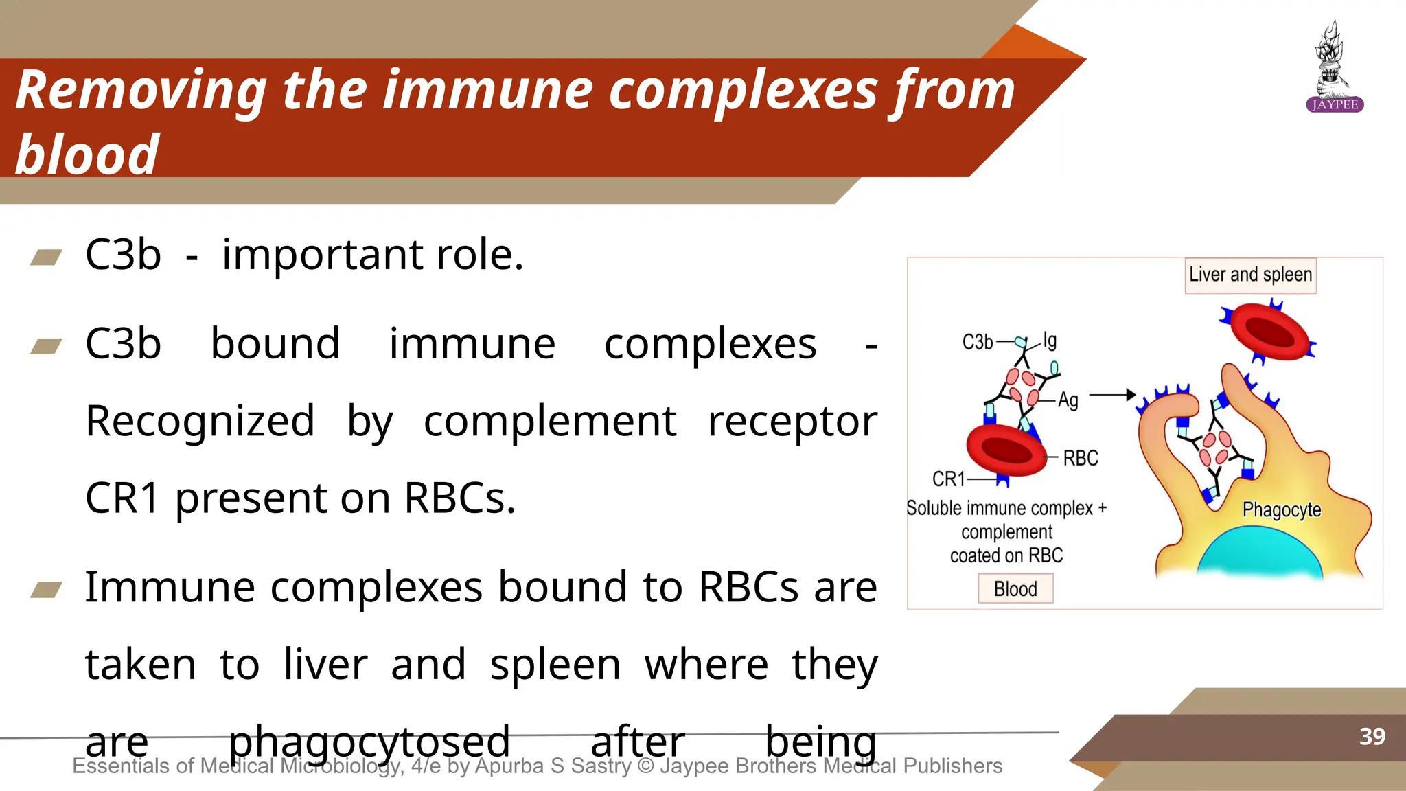 Complement pathways microbiology .pptx