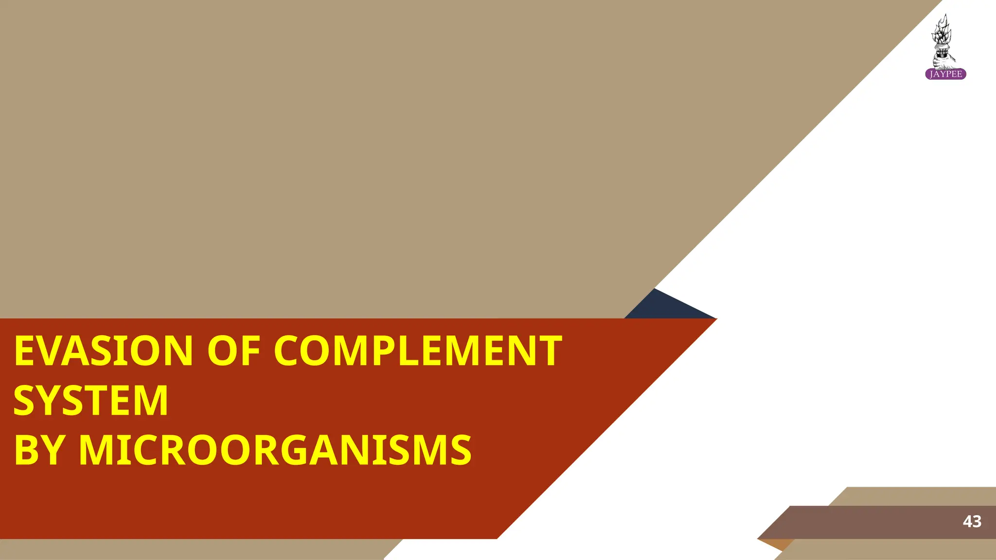 Complement pathways microbiology .pptx