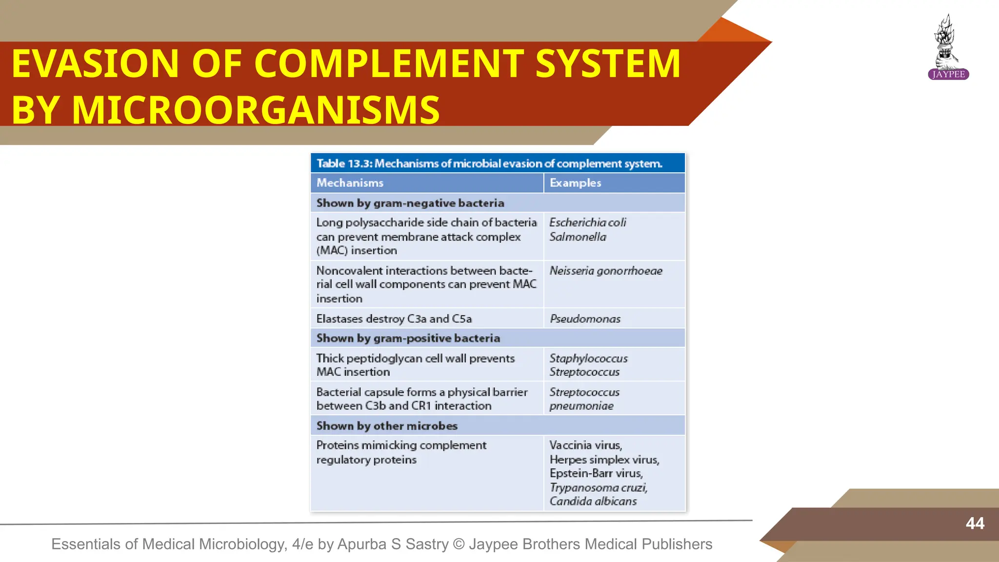 Complement pathways microbiology .pptx