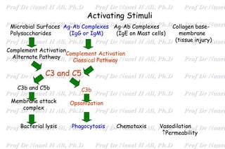 Complement system proteins and enzymes s | PPT