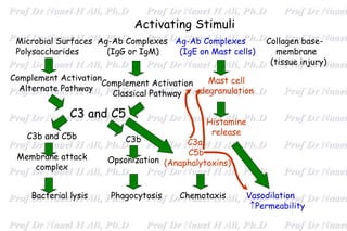 Complement system proteins and enzymes s | PPT