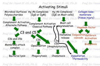 Complement system proteins and enzymes s | PPT
