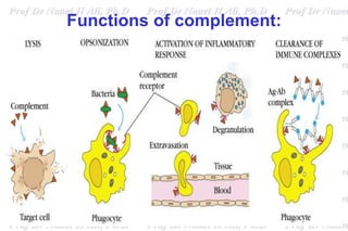 Complement system proteins and enzymes s | PPT