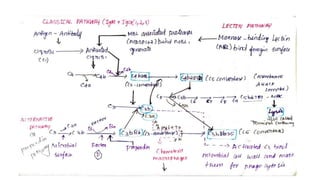 Complement activation pathway.pptx