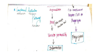 Complement activation pathway.pptx