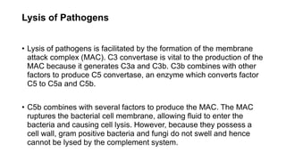 Complement activation pathway.pptx