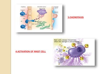 Complement and hypersensitivity | PPT