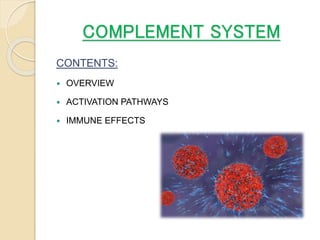 Complement and hypersensitivity | PPT