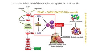 Complement system and periodontitis | PPTX