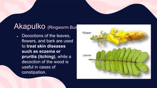 Complementary-and-Alternative-Medicine (1).pptx