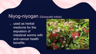 Complementary-and-Alternative-Medicine (1).pptx