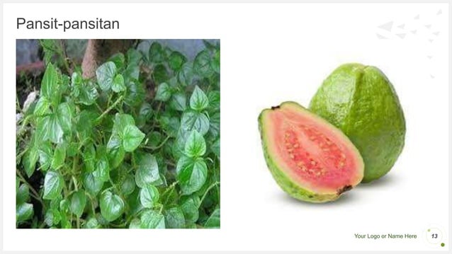 Complementary and alternative healthcare modalities | PPTX | Herbs and ...