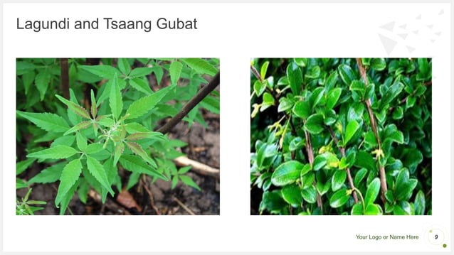 Complementary and alternative healthcare modalities | PPTX | Herbs and ...