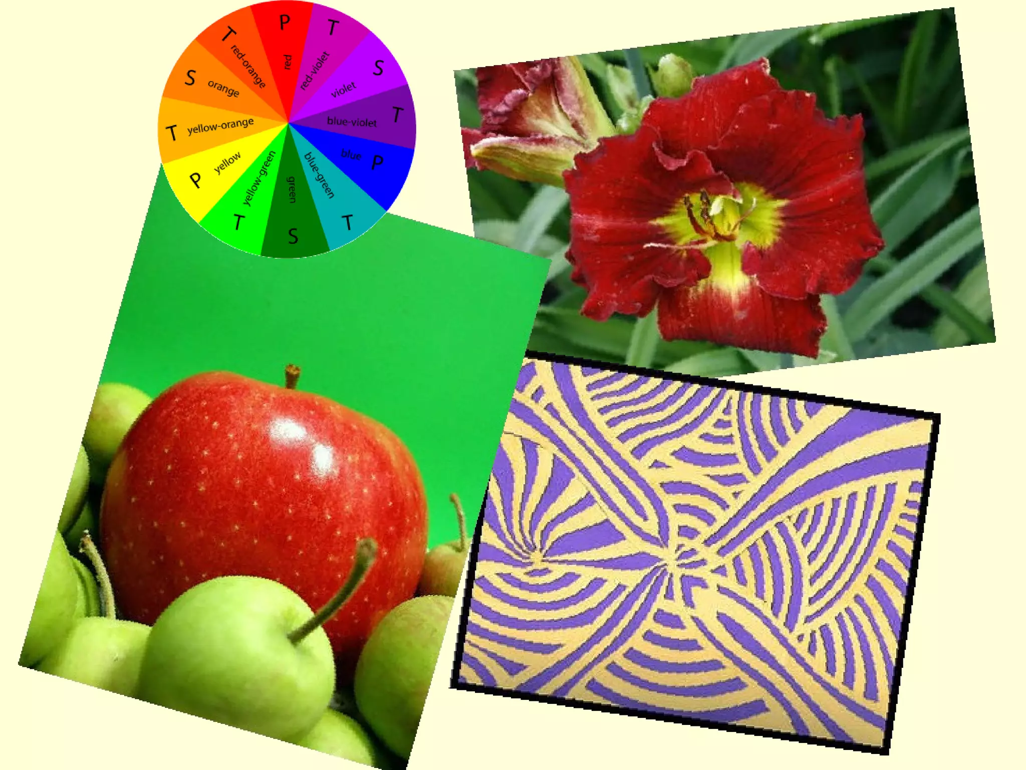 Complementary colours | PPT