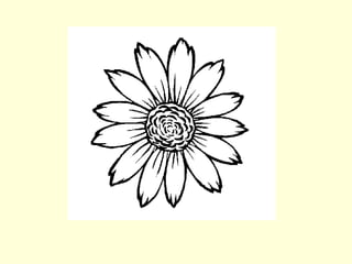 Complementary colours | PPT