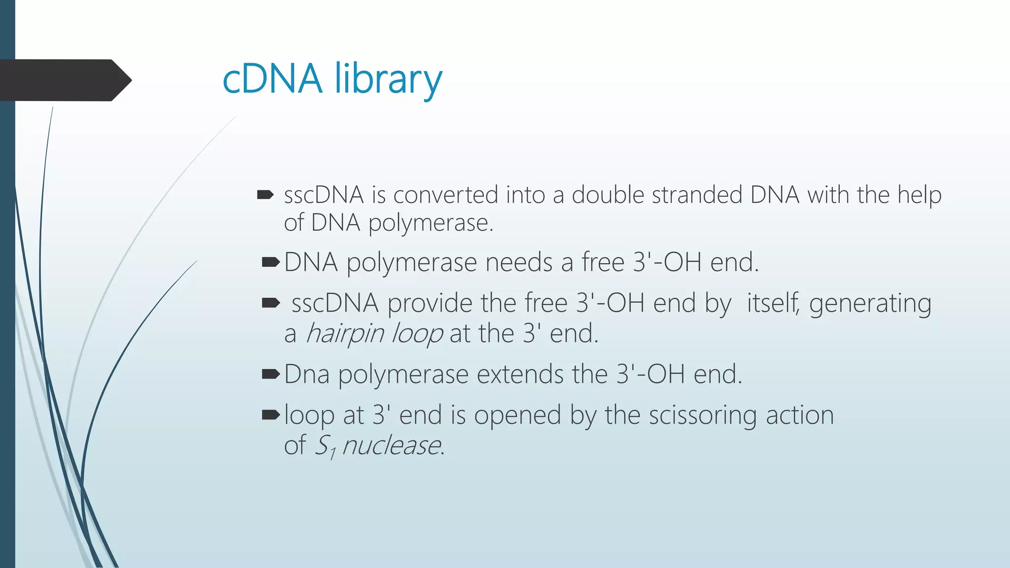 Complementary dna library | PPT