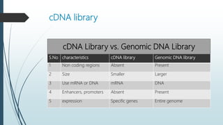 Complementary dna library | PPT