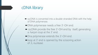 Complementary dna library | PPT