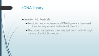 Complementary dna library | PPT