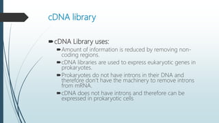 Complementary dna library | PPT