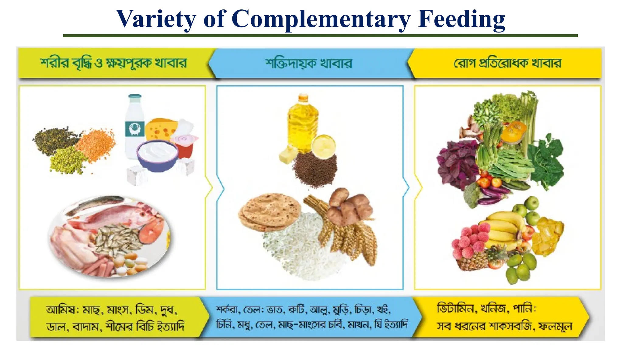 Complementary Feeding Practices_ Dr Bijan Das.pptx
