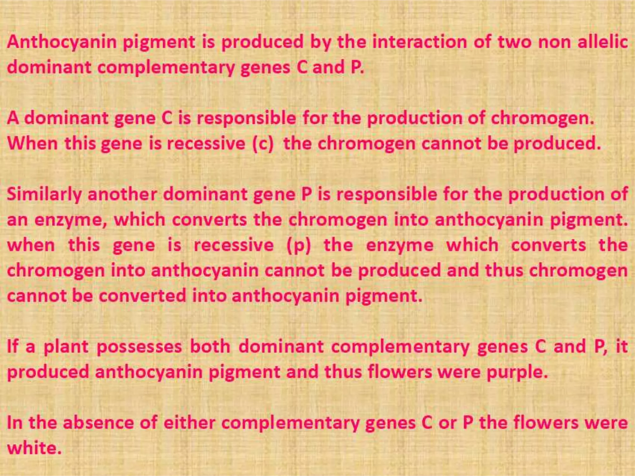 Complementary genes.pptx