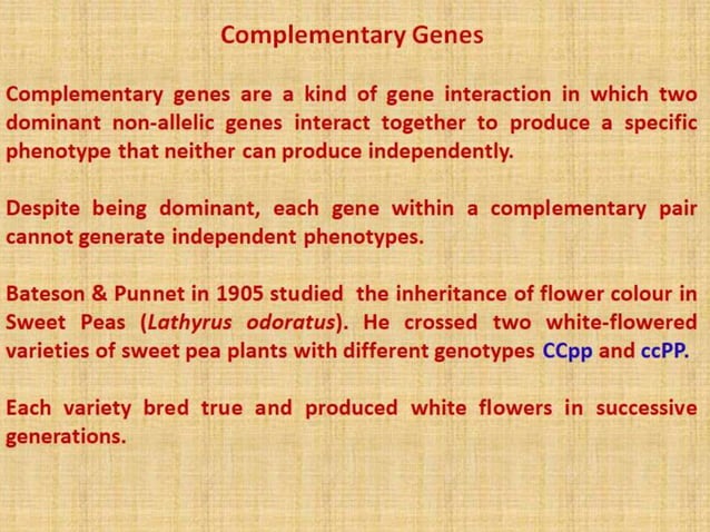 Complementary genes.pptx