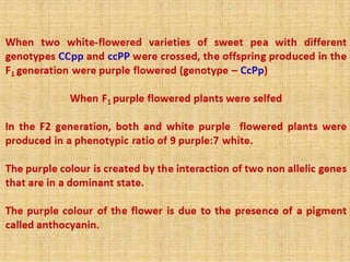 Complementary genes.pptx