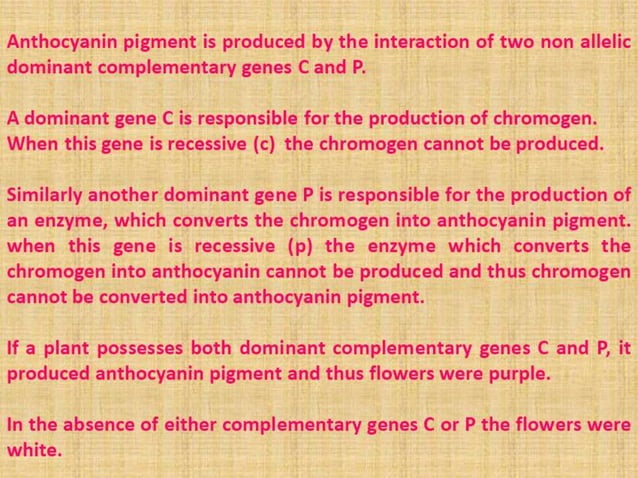 Complementary genes.pptx